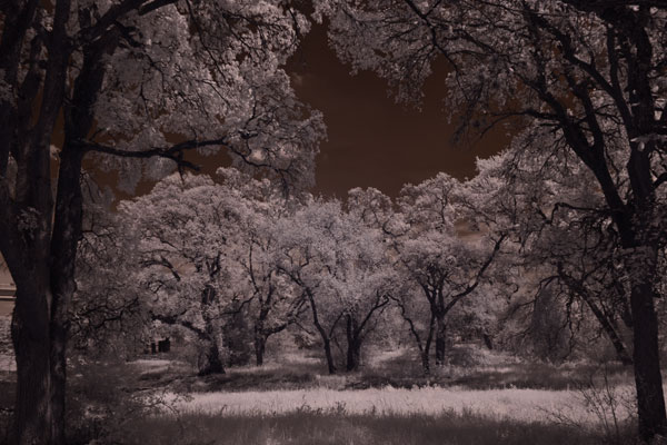 Infrared Photography - base2photo: Digital Photography