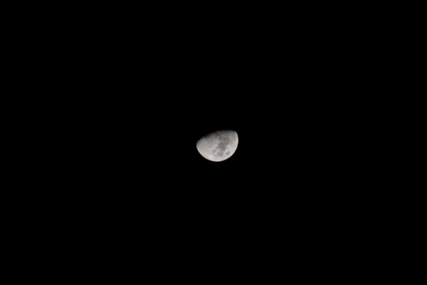 Nikon NIKKOR 400mm 1:5.6 ED IF Ai-S Lens (f/5.6) - base2photo: Digital ...